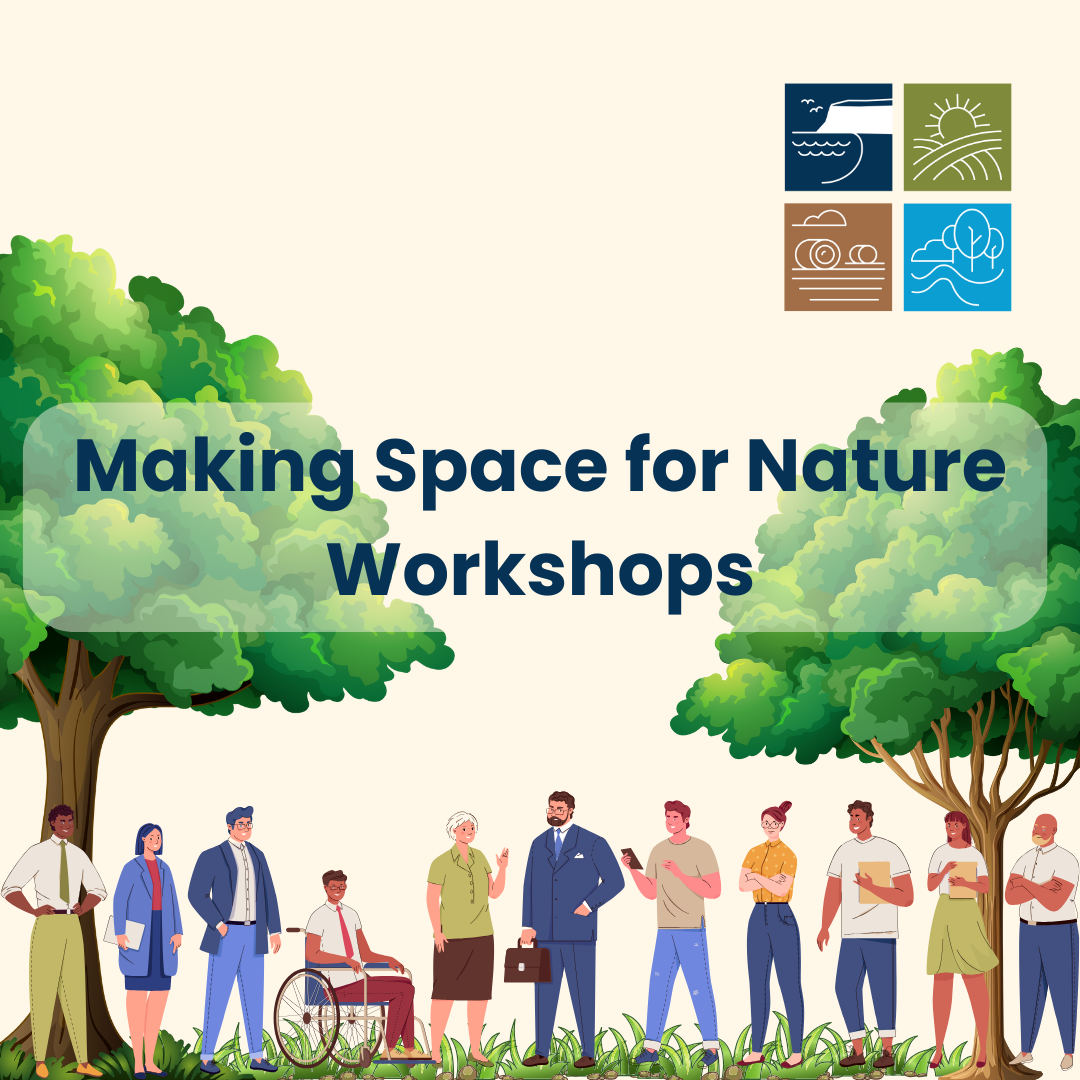 Making Space for Nature Workshops – Canterbury Climate Action Partnership